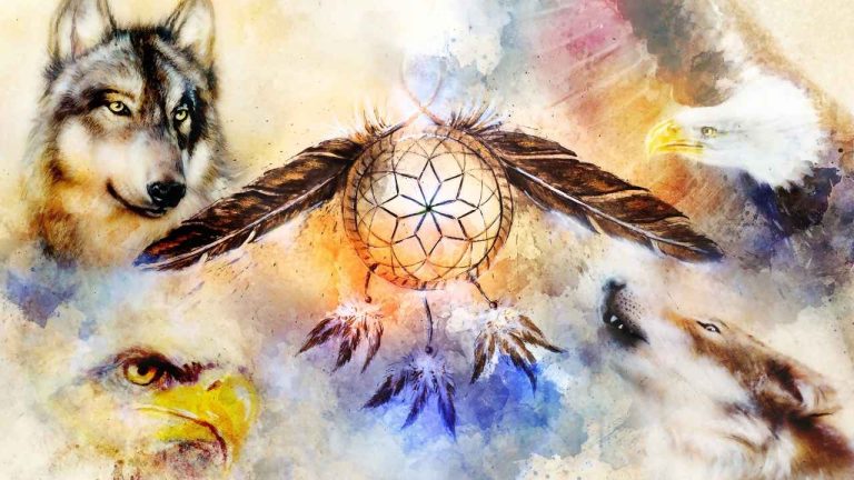 The Amazing Cheetah Spiritual Animal – Totem, Symbolism And More ...