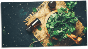 Spiritual Herbs: 6 Amazing Herbs to Use in Your Spiritual Practice ...