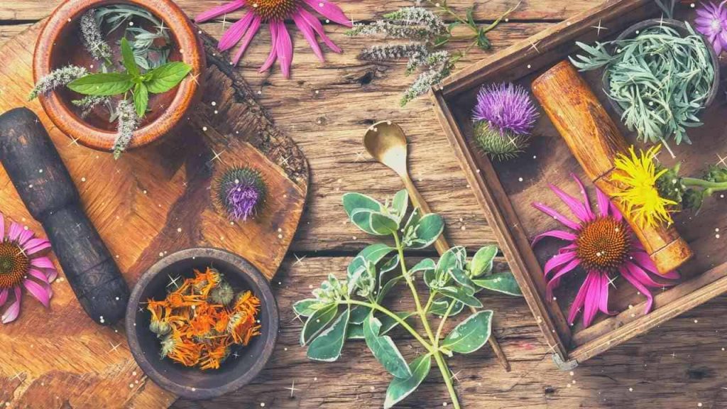 Spiritual Herbs: 6 Amazing Herbs to Use in Your Spiritual Practice ...