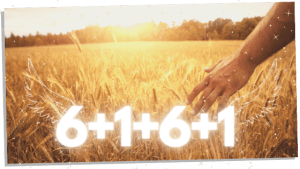 Angel Number 6161: This Is The Amazing Meaning Of Seeing 6161 ...