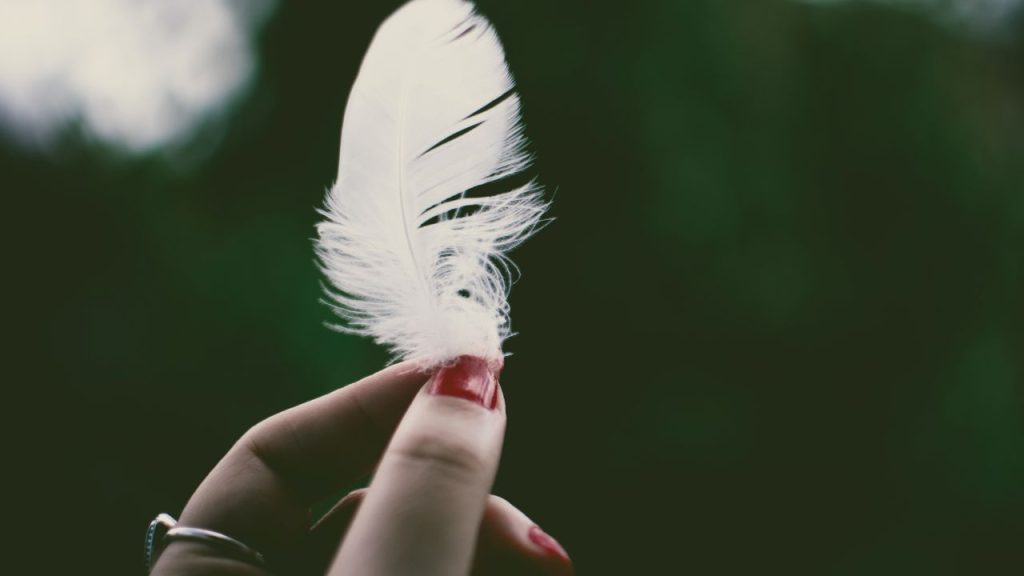 Feather Spiritual Meaning: 12 Colors & Their Significance
