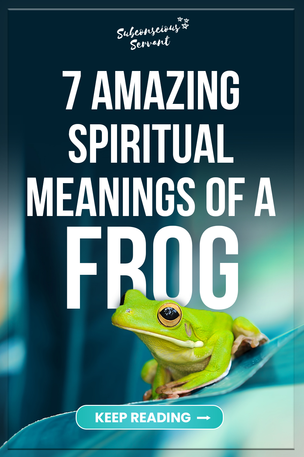 7 Surprising Frog Spiritual Meanings Dreams Omens More 