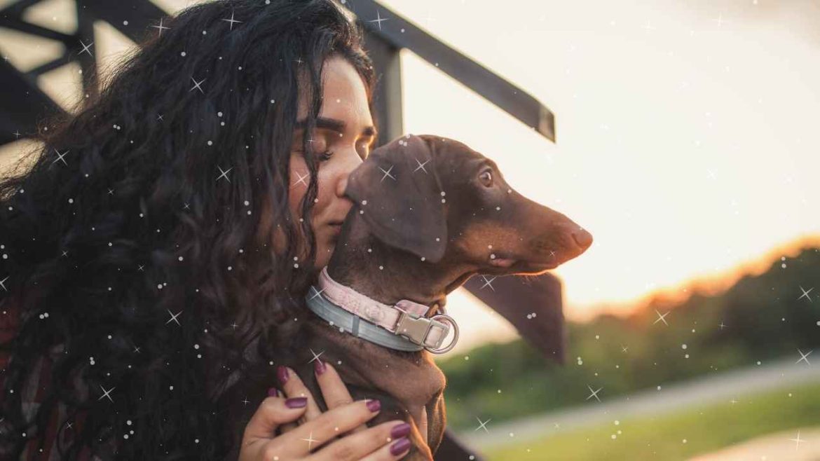 The Animal Empath Explained - 6 Amazing Signs & Traits