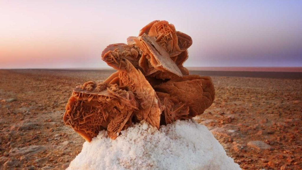 Desert Rose Crystal: 14 Healing Properties, Benefits & Uses ...