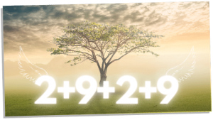 Angel Number 2929: 5 Meanings (Love, Twin Flame, & More) - Subconscious ...