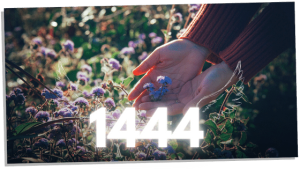 Angel Number 1444 Meaning: Utilize Your Talents and Skills ...