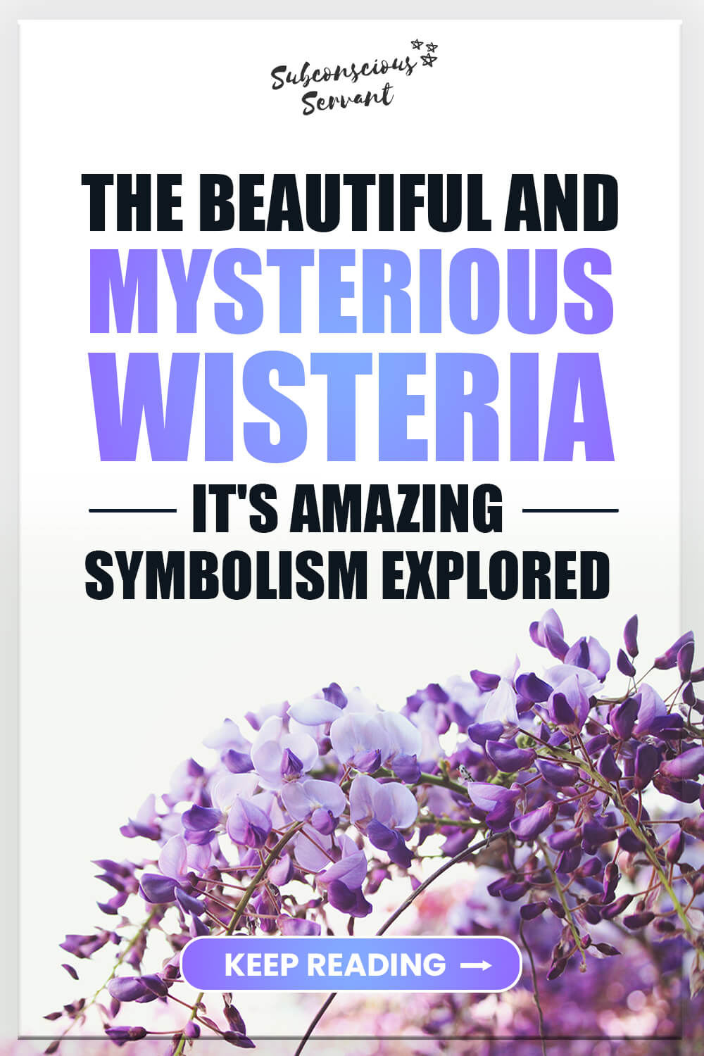 The Beautiful & Mysterious Wisteria: What Does it Symbolise?