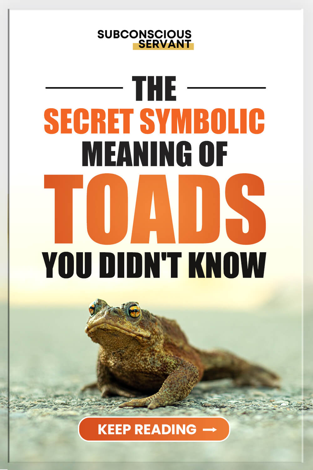 Hidden Meanings: The Amazing Symbolism Of Toads Explored