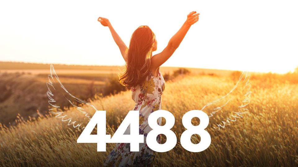 angel-number-4488-meaning-new-opportunities-for-you-subconscious-servant