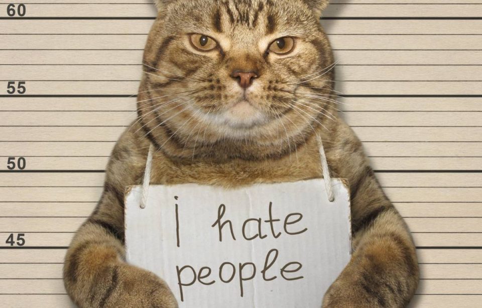 11 BIG Misconceptions About Being an Introvert - Subconscious Servant