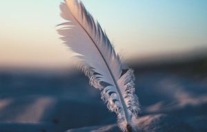 Feather Spiritual Meaning: 12 Colors & Their Significance